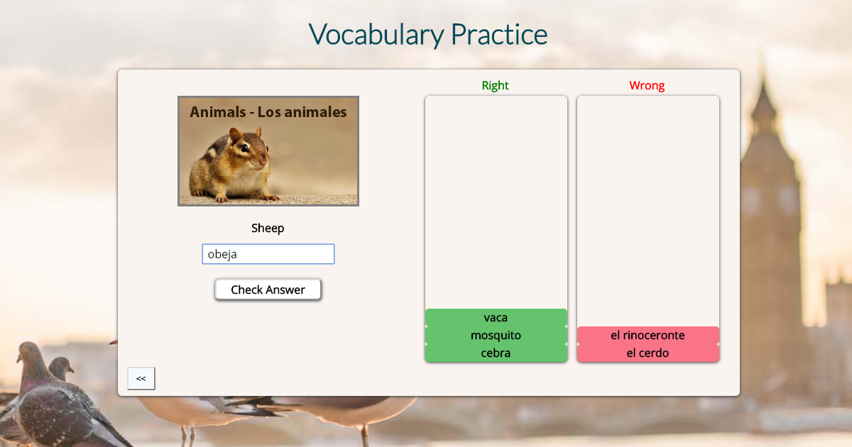 Learning Spanish - Vocabulary Practice